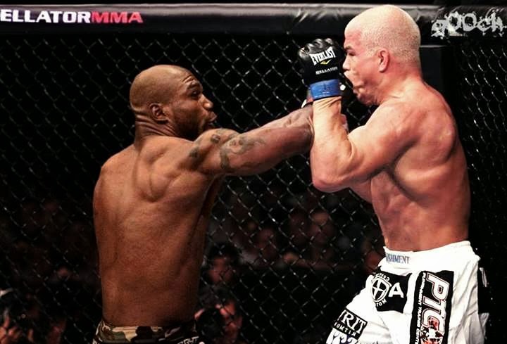 PELEAS UFC PITBULL