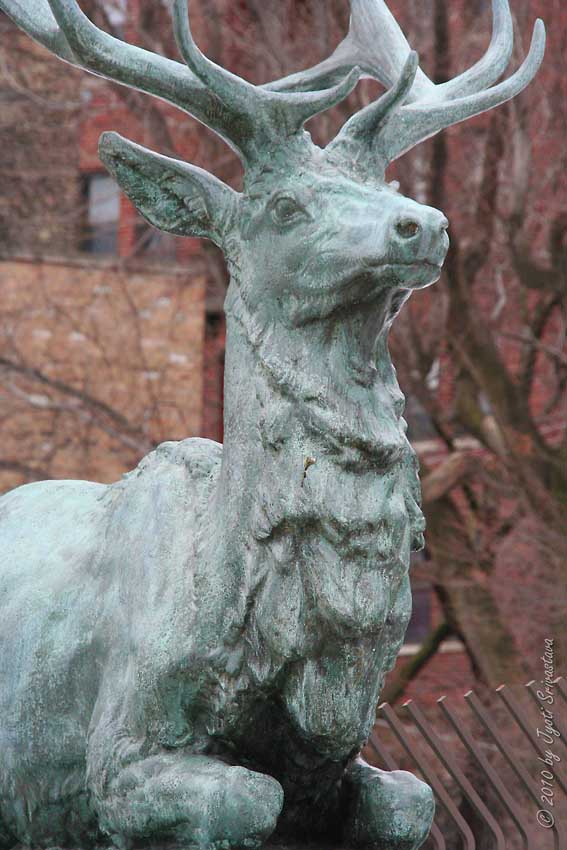 Chicago - Architecture & Cityscape: The Elks National Memorial ...