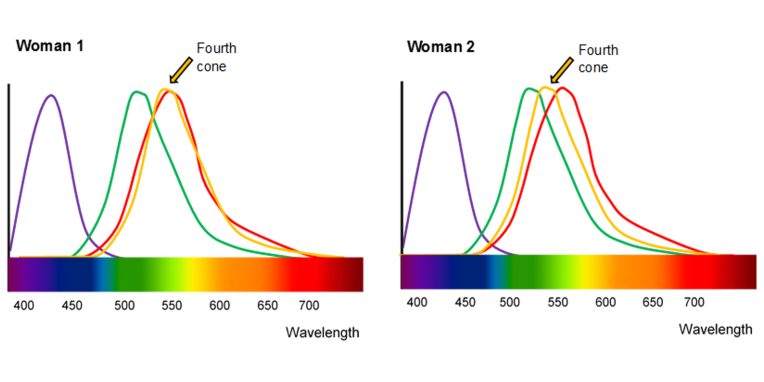 Colorblind Tools: Color space and the illusion of color