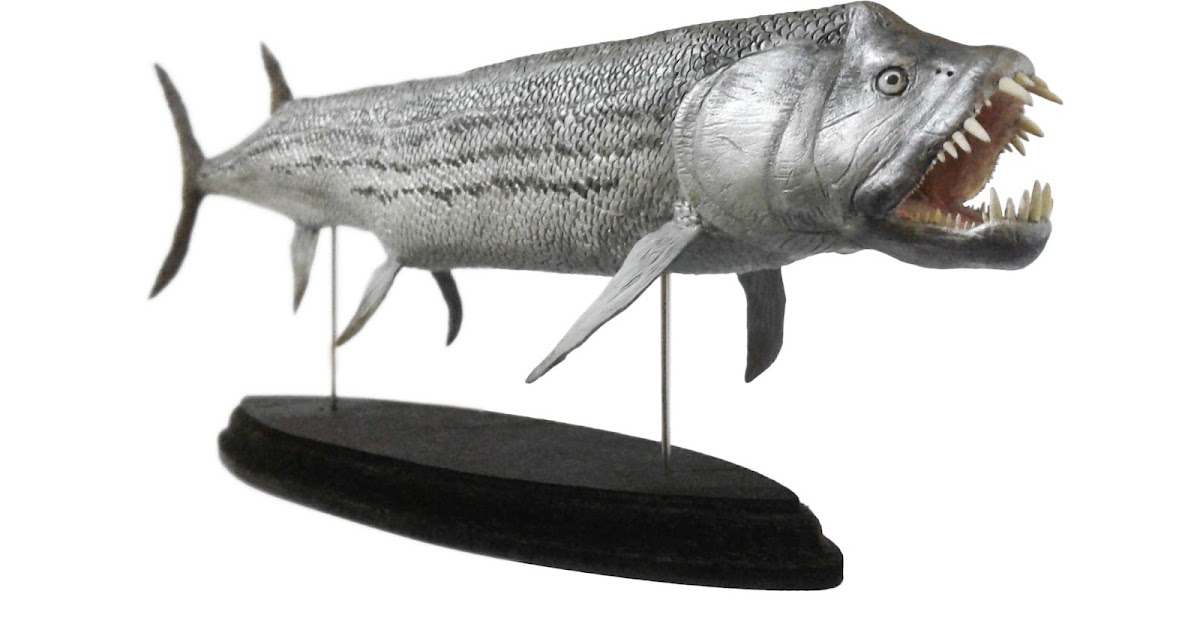 Vitor Silva - Paleoartista: Xiphactinus