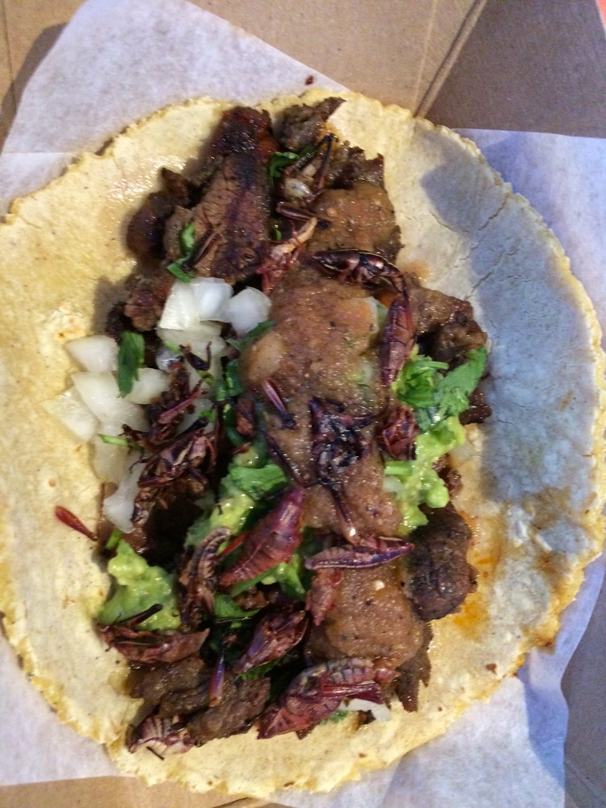 Off the Eaten Path: I Hope This Doesn't Bug You