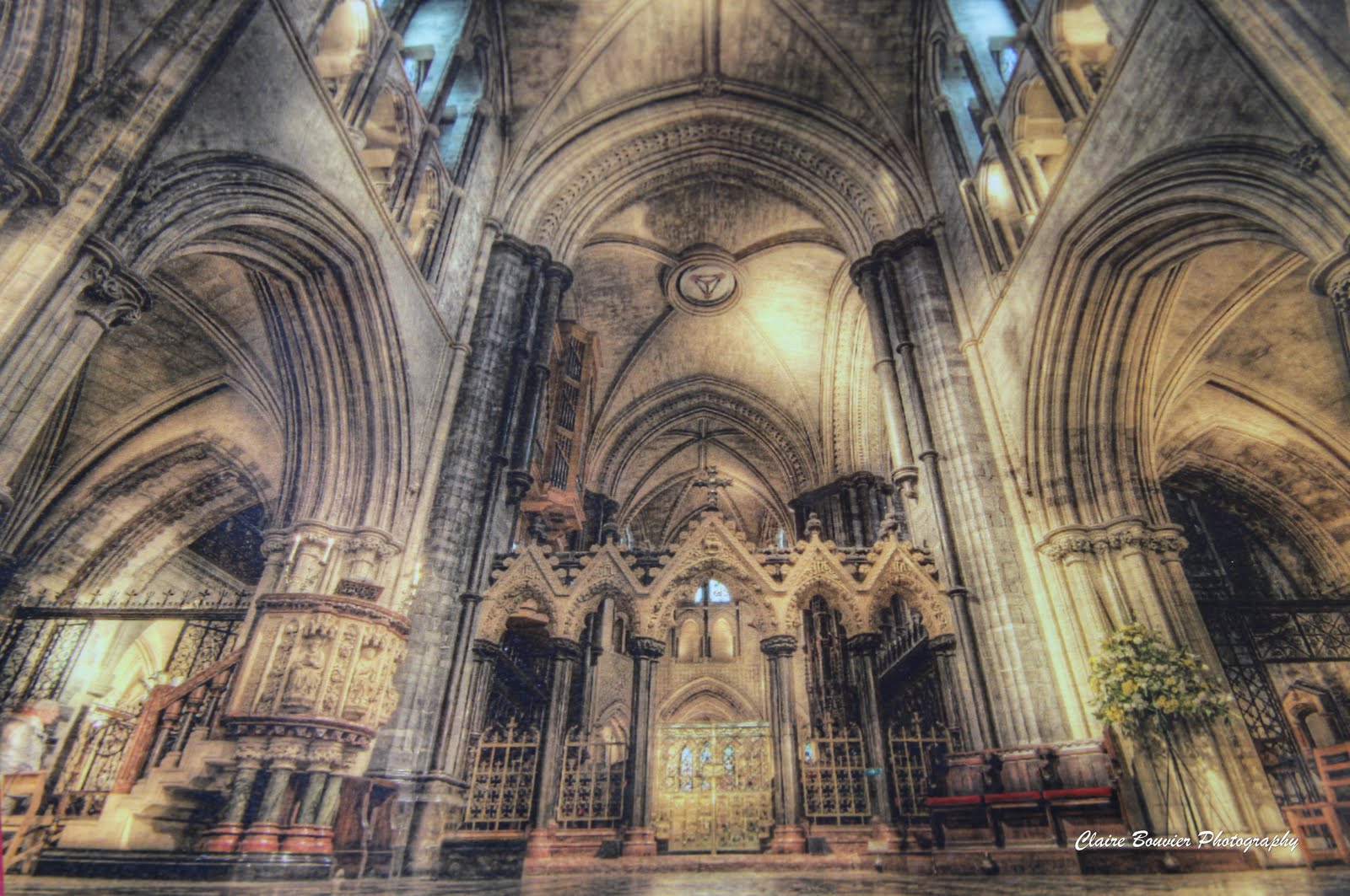 The Irish Experience 2011: Churches of Dublin