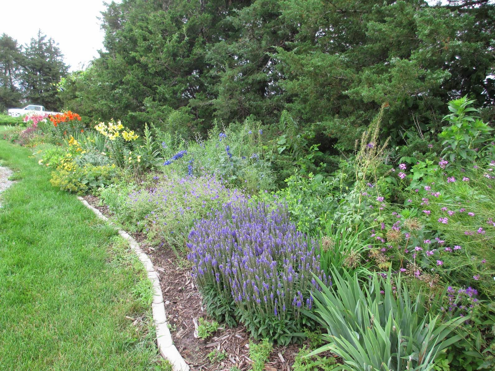 Garden Fancy: Lilies and the Rainbow Border