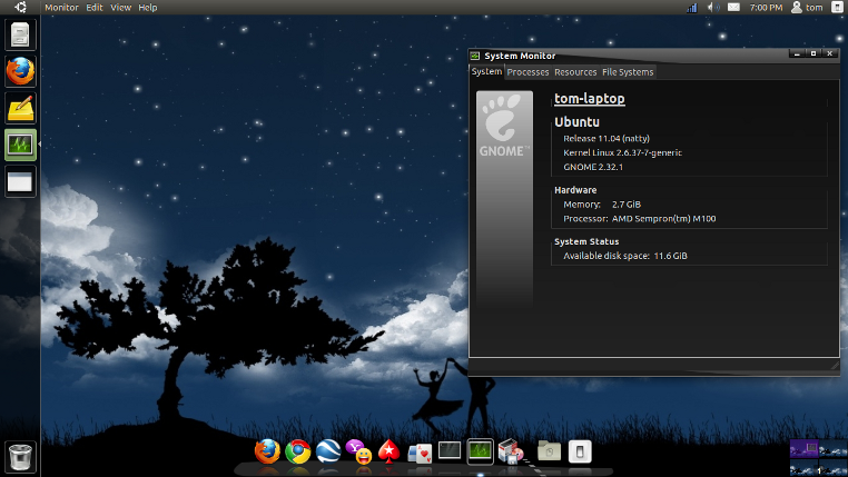New Kernel Vulnerabilities In Ubuntu 11 04