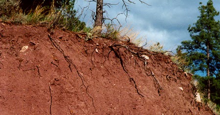 Earth Science Guy: Mazama Ash in Montana