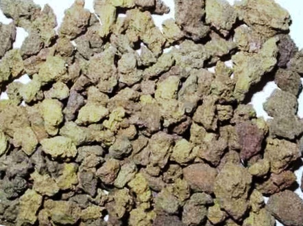 Pozzolanic Chemistry in Cement