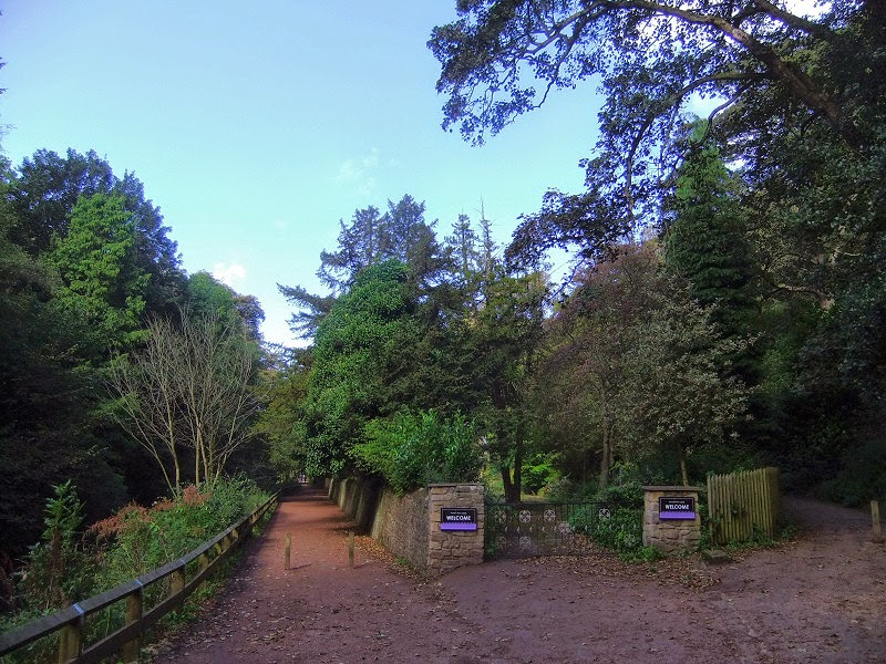 Photographs Of Newcastle: Jesmond Dene
