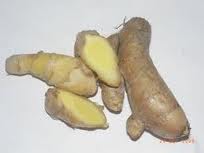 Gudang Simplisia Herbal