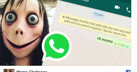 Whatsapp || MOMO Game - Theory Duke