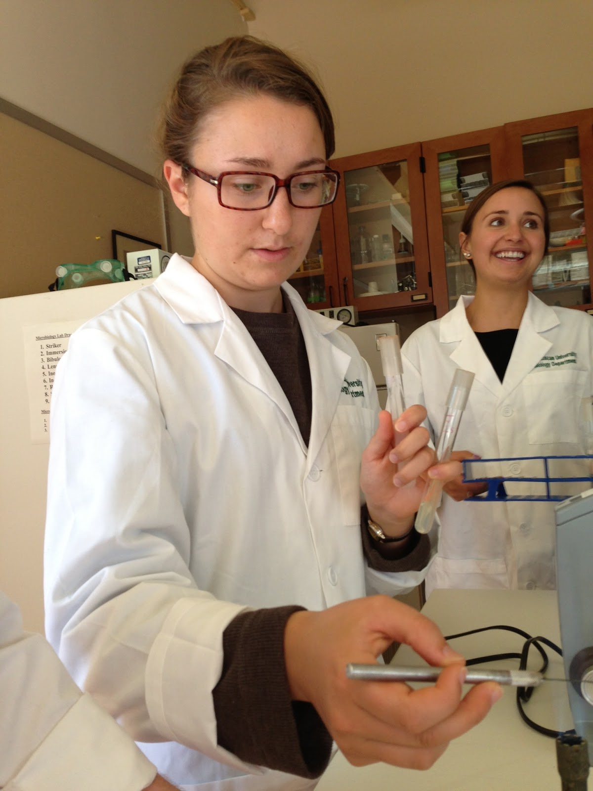 The Pursuers More Results Gram Staining An Unknown Bacteria And That Nasty Tea