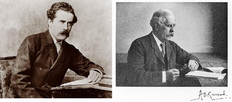 Portale Scientifico: Un gene, una proteina