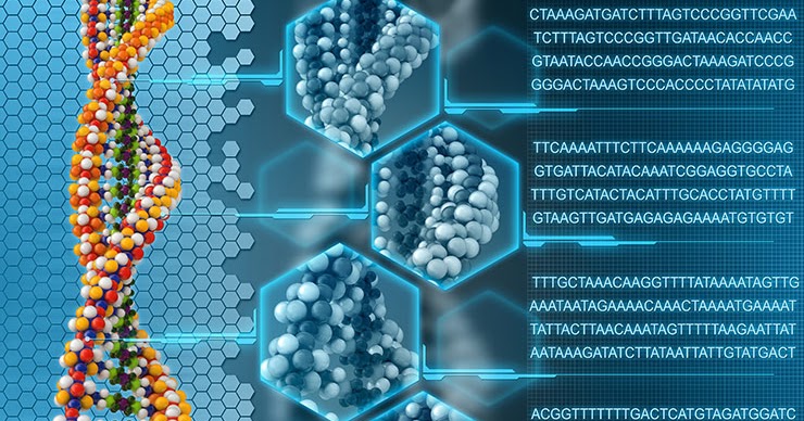 El ADN y la secuenciación