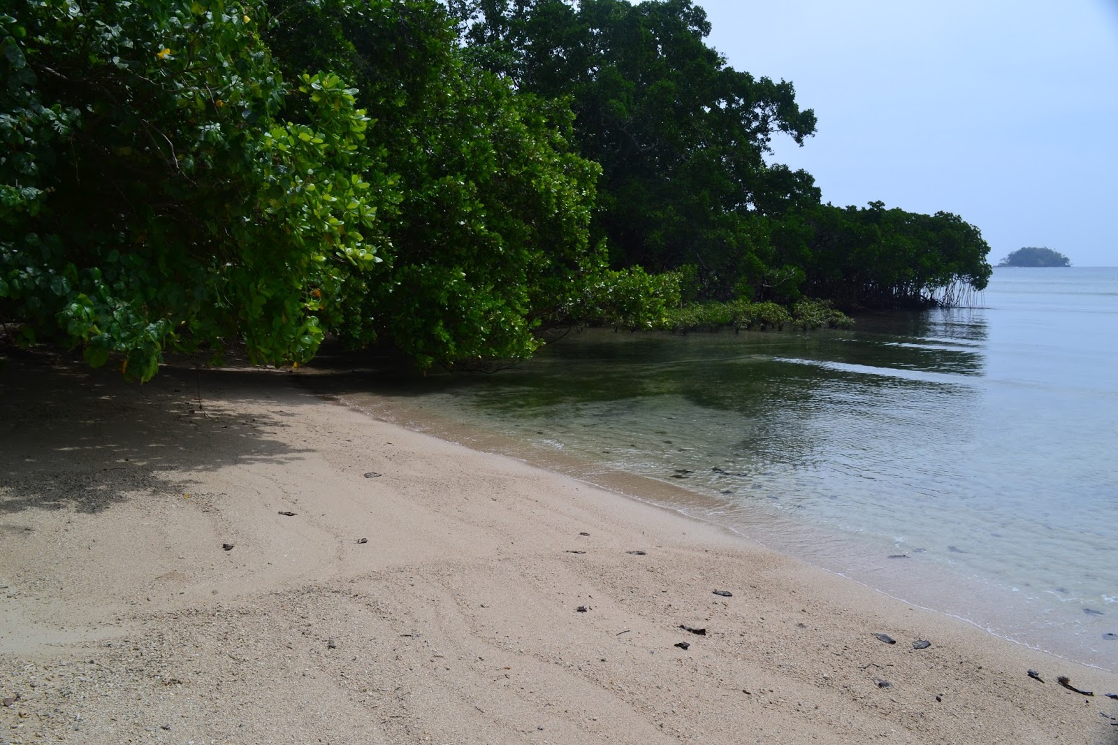 Goin' Feral One Day At A Time: Doini Island, Milne Bay Province, Papua ...