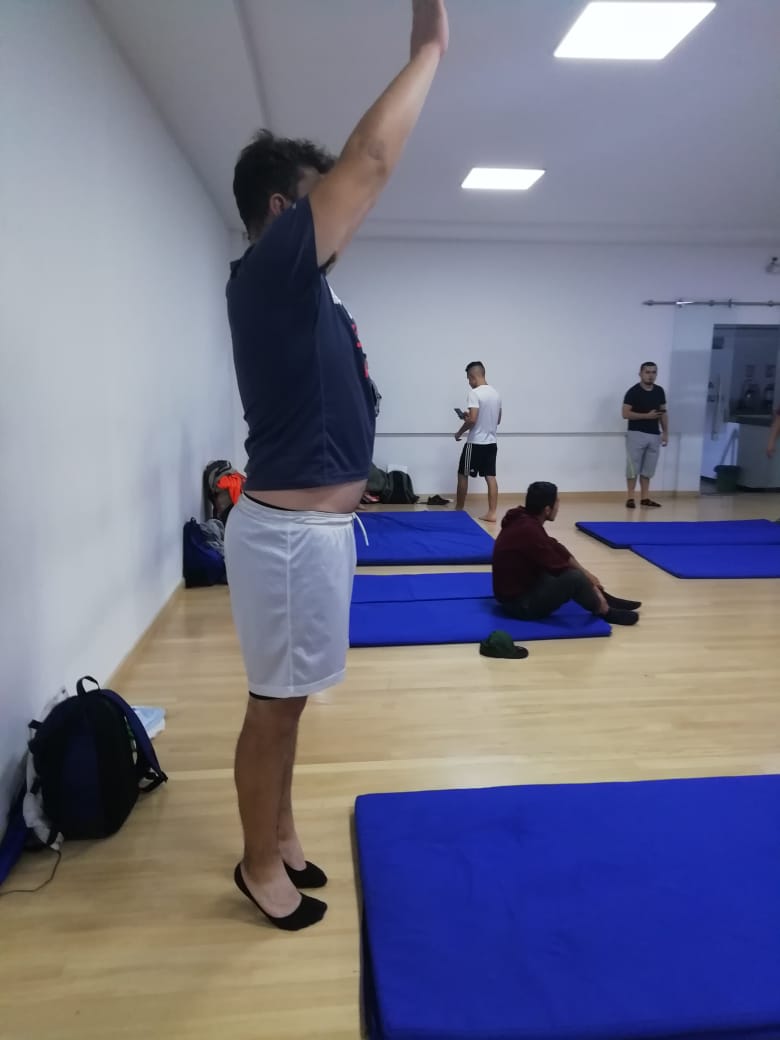 introducción a la gimnasia : Gesto técnico Invertida con apoyo de manos ...