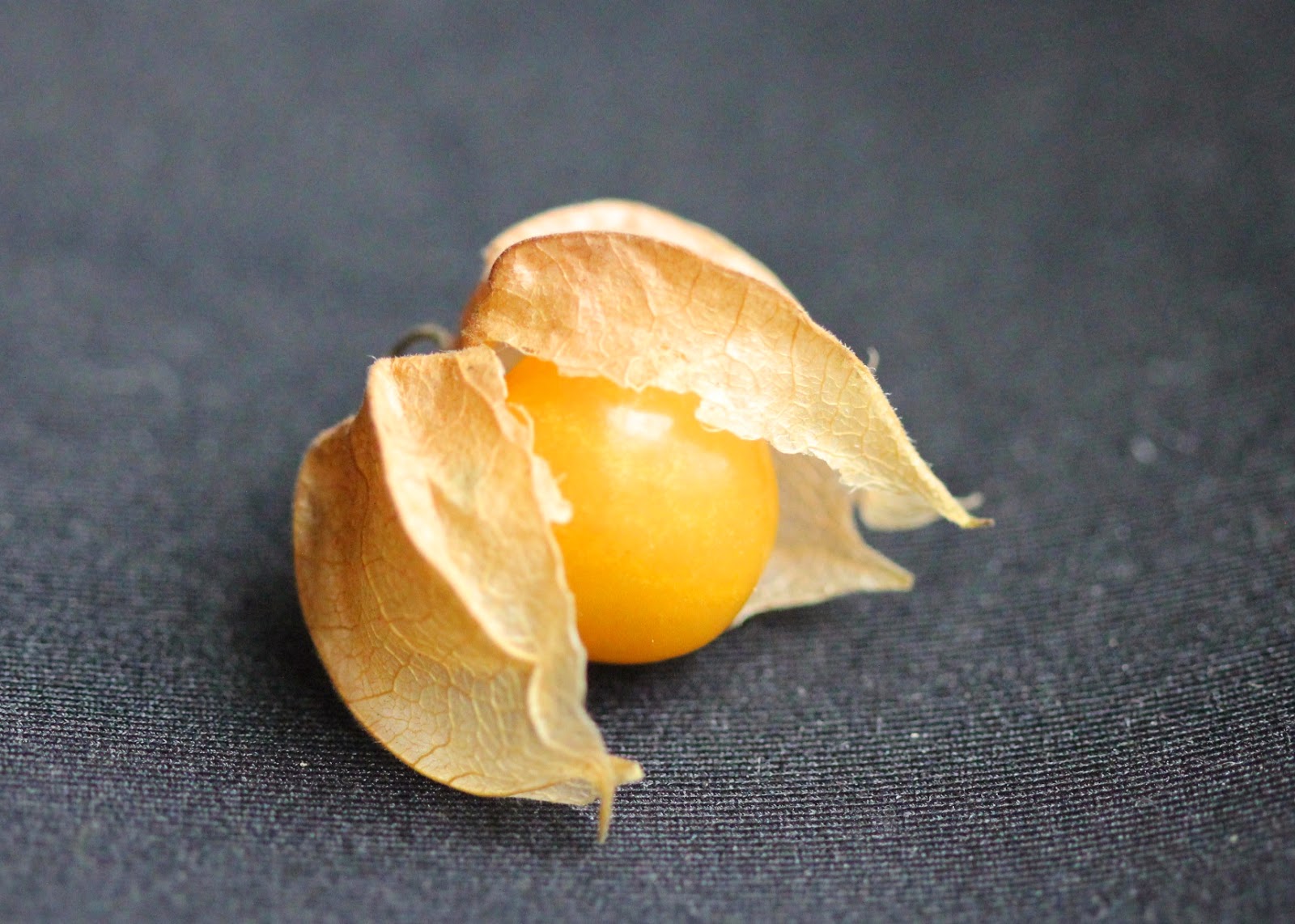 Red House Garden: Have You Ever Eaten a Ground Cherry?