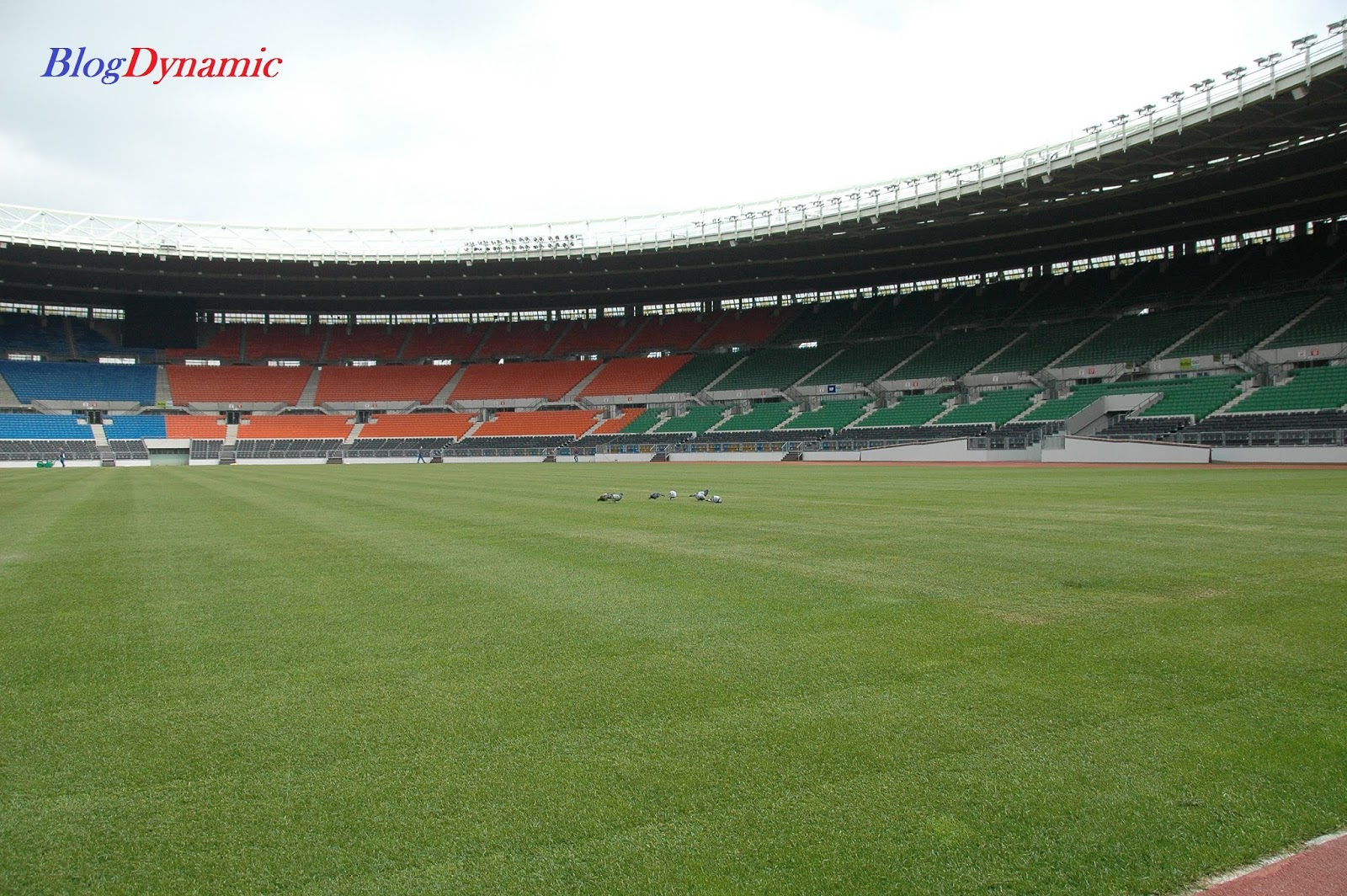 Stadion Sepak Bola Gambar Stadion - vrogue.co