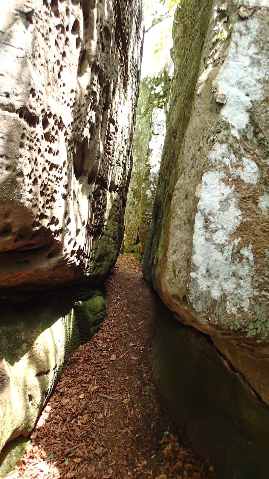 Ramblin': The Great Channels of Virginia