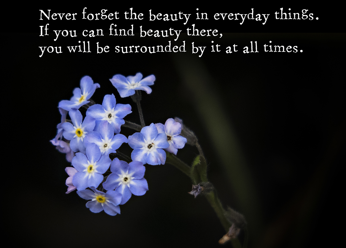 Never Forget Me Quotes