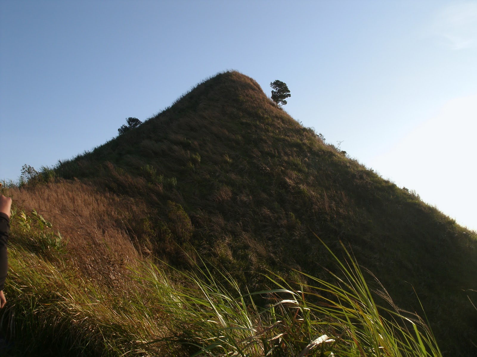 Lady Nyx: My Mt. Damas Adventure (Traverse) in Tarlac
