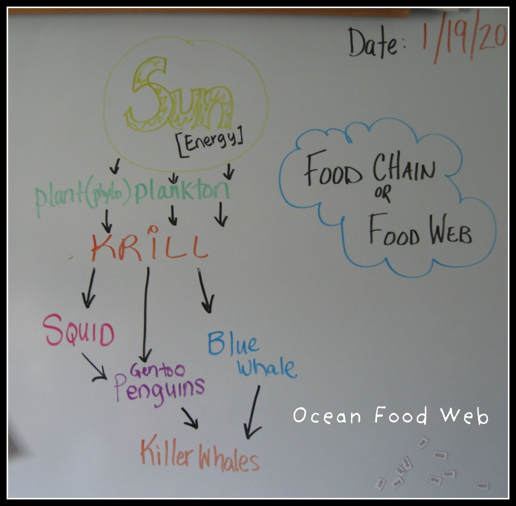 Farm Fresh Adventures: Pp is for Penguin