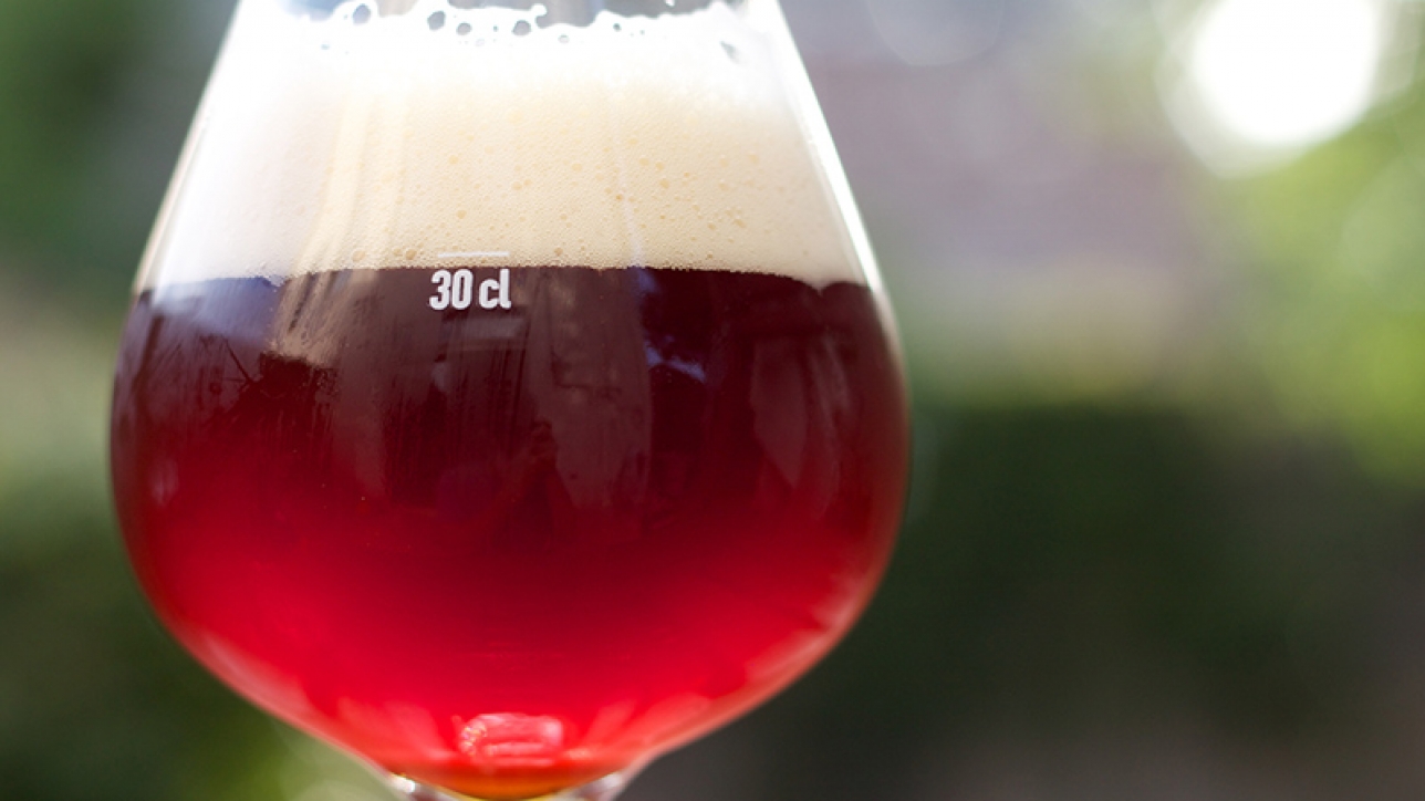 Cervezal: Cerveza Roja