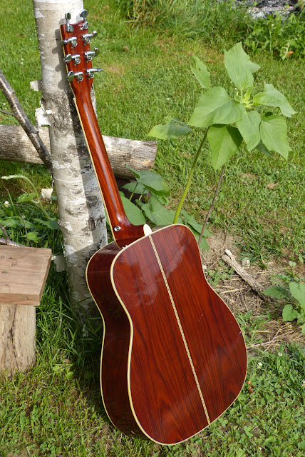 1978/2016 Yamaha "Classical" Mandolone