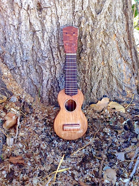 Tiwi Mini Ukuleles: Cherry Nano Uke 2015 #1