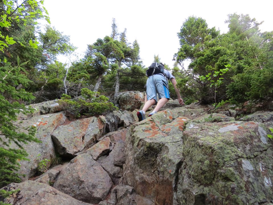 Outdoor Diversion: Mount Jackson via Webster Cliff Trail