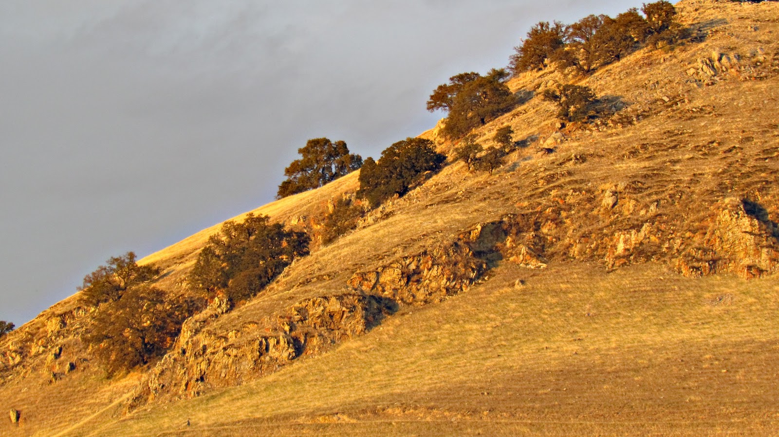 Adventures of a Vagabond Volunteer: Meet the Sutter Buttes
