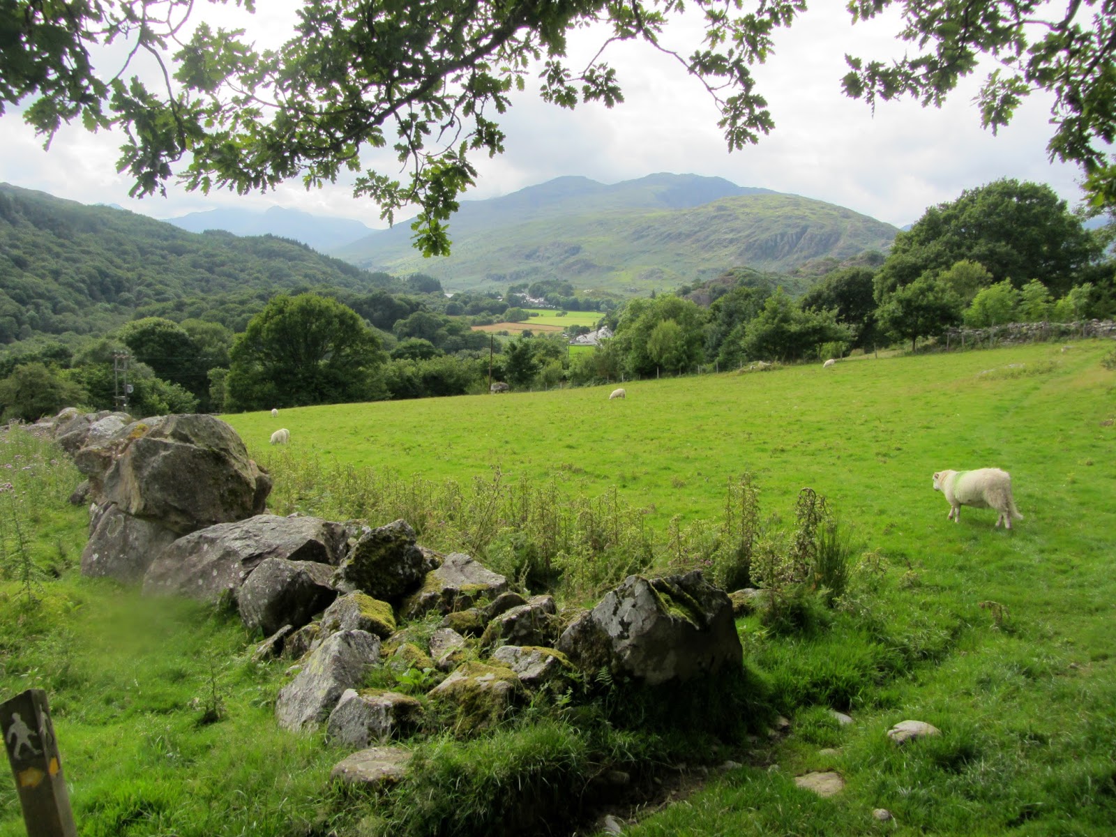 Ramblings from an English Garden: Snowdonia National Park in Wales