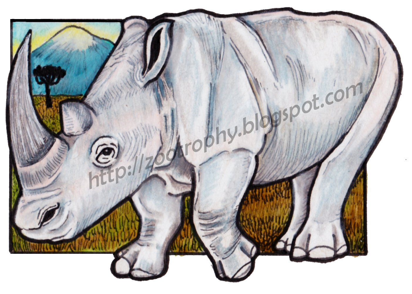 ZooTrophy Animal-a-Day Database: #653: Rhinoceros
