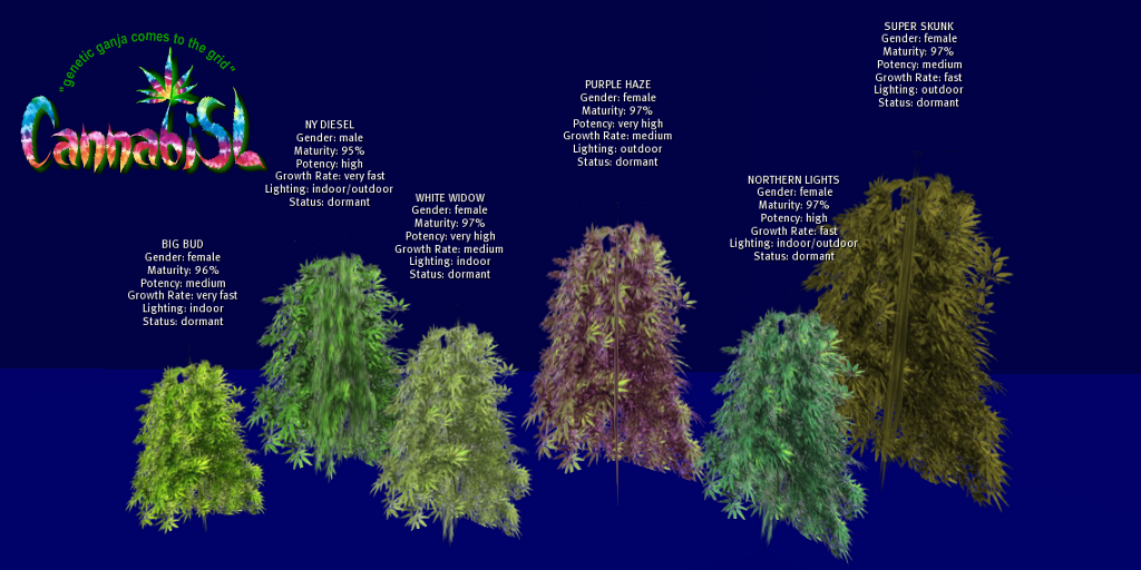 ḈḁṇṇḁḇḭṦḼ™ Grow Room: Genetics