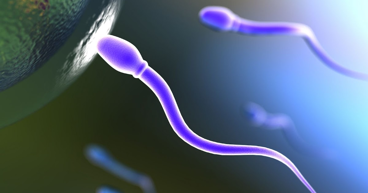 Los cilios y los flagelos - Biología