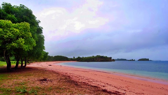 Welcome to Indonesia Blog: Tangsi Beach / Pink Beach Lombok
