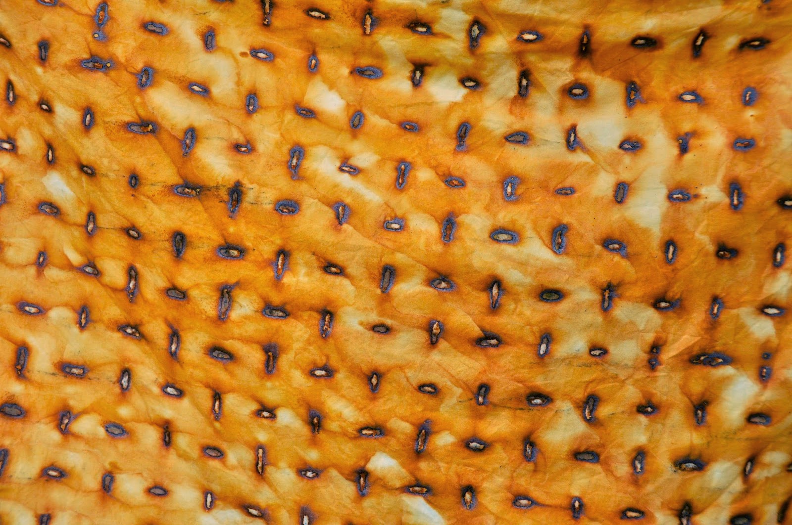 LuAnn Kessi: Rust Dyeing...