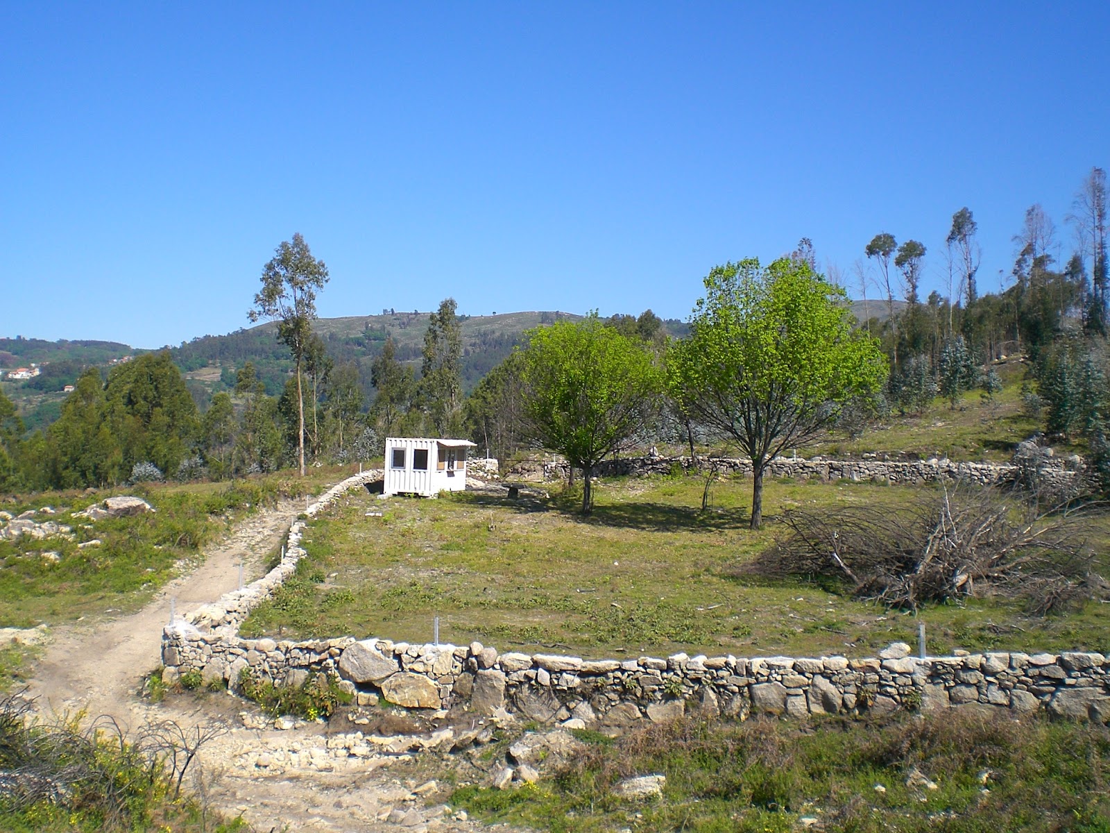 Btt - Lage: À Nascente do Rio Neiva e Outros Lugares do Alto...