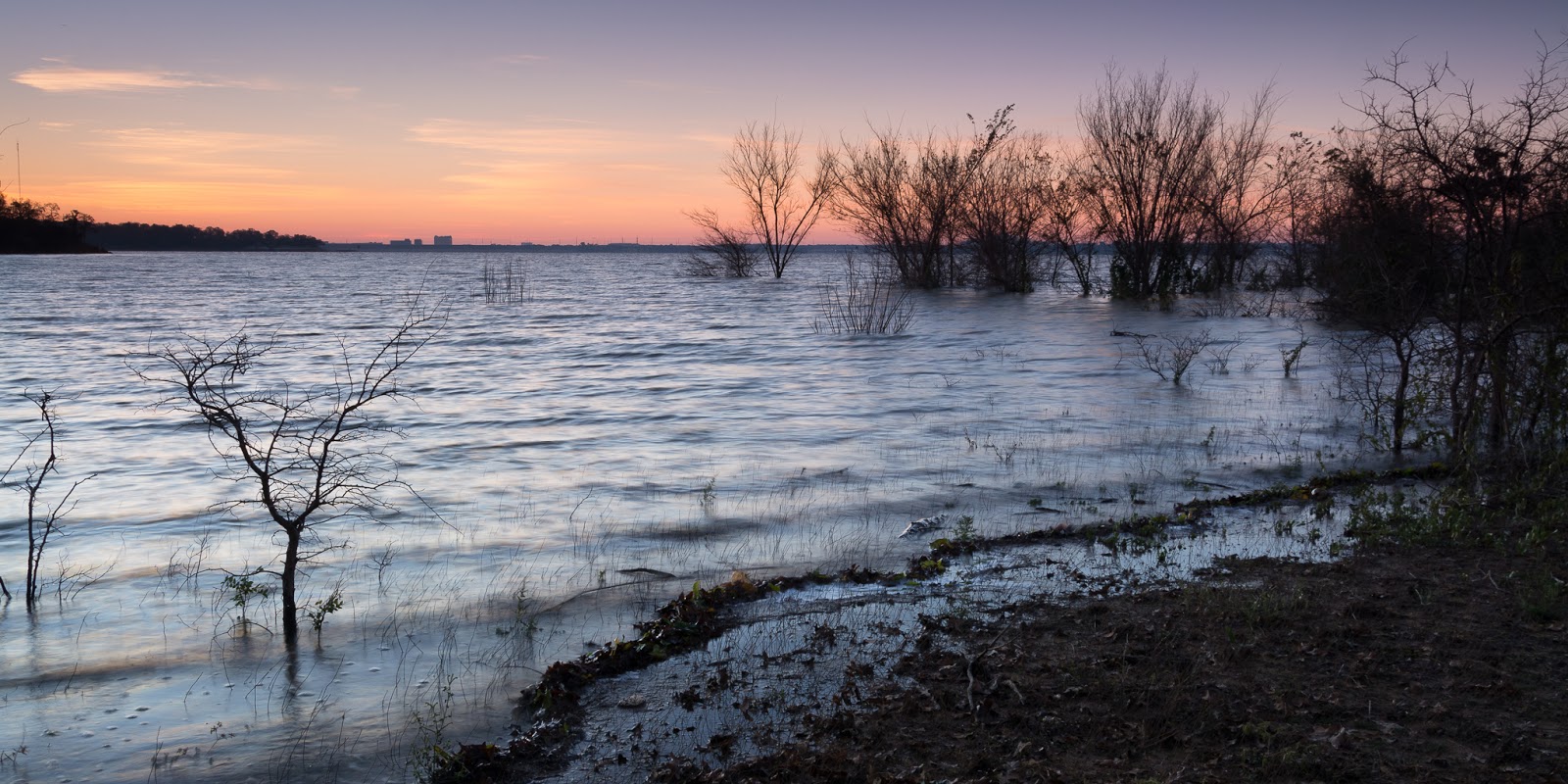 A Tree Falling: Grapevine Lake: December 5, 2015