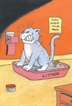 Cat Constipation-Symptoms-Remedies-Treatment