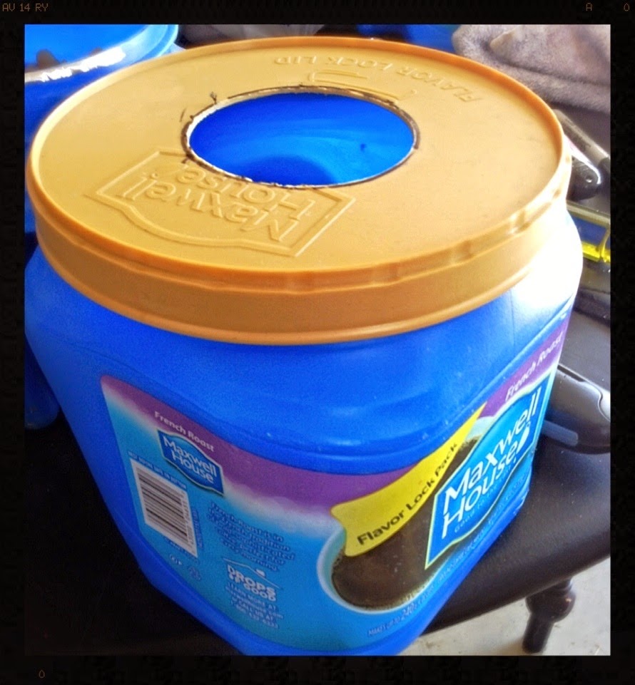 things n dreams: Kratky Method Chinese cabbage