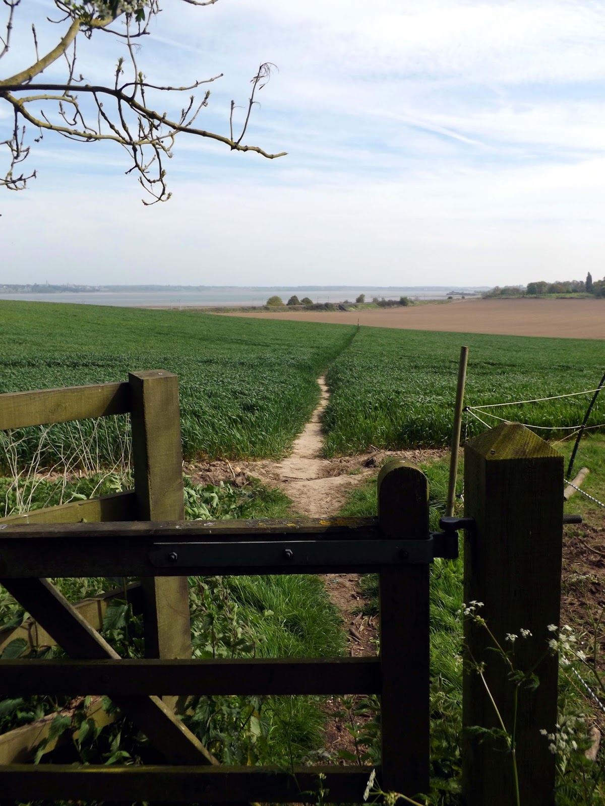 My Adventures 3: The Essex Way Section 8: Mistley to Harwich 30th April ...