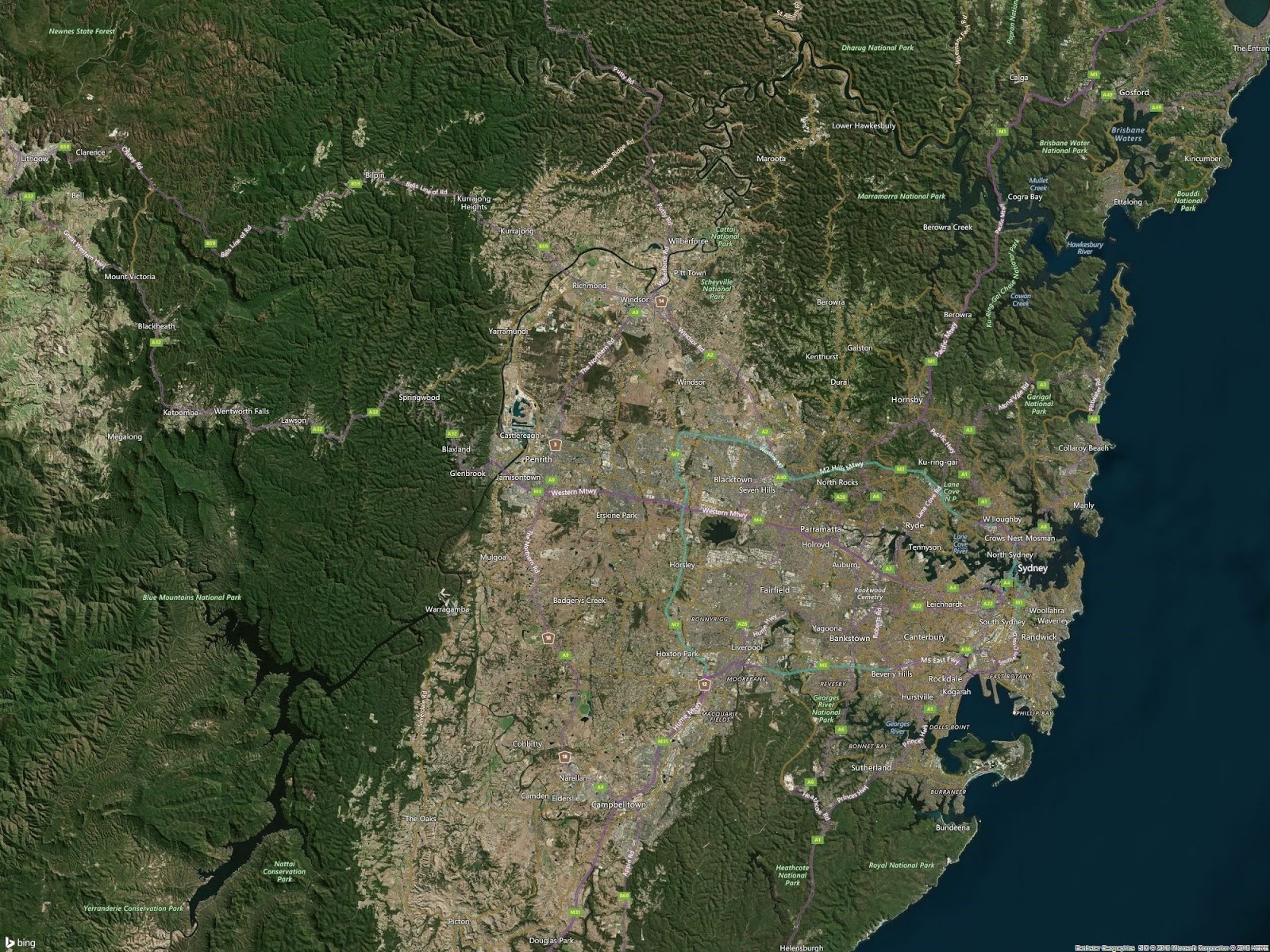 Sydney Map Free Download