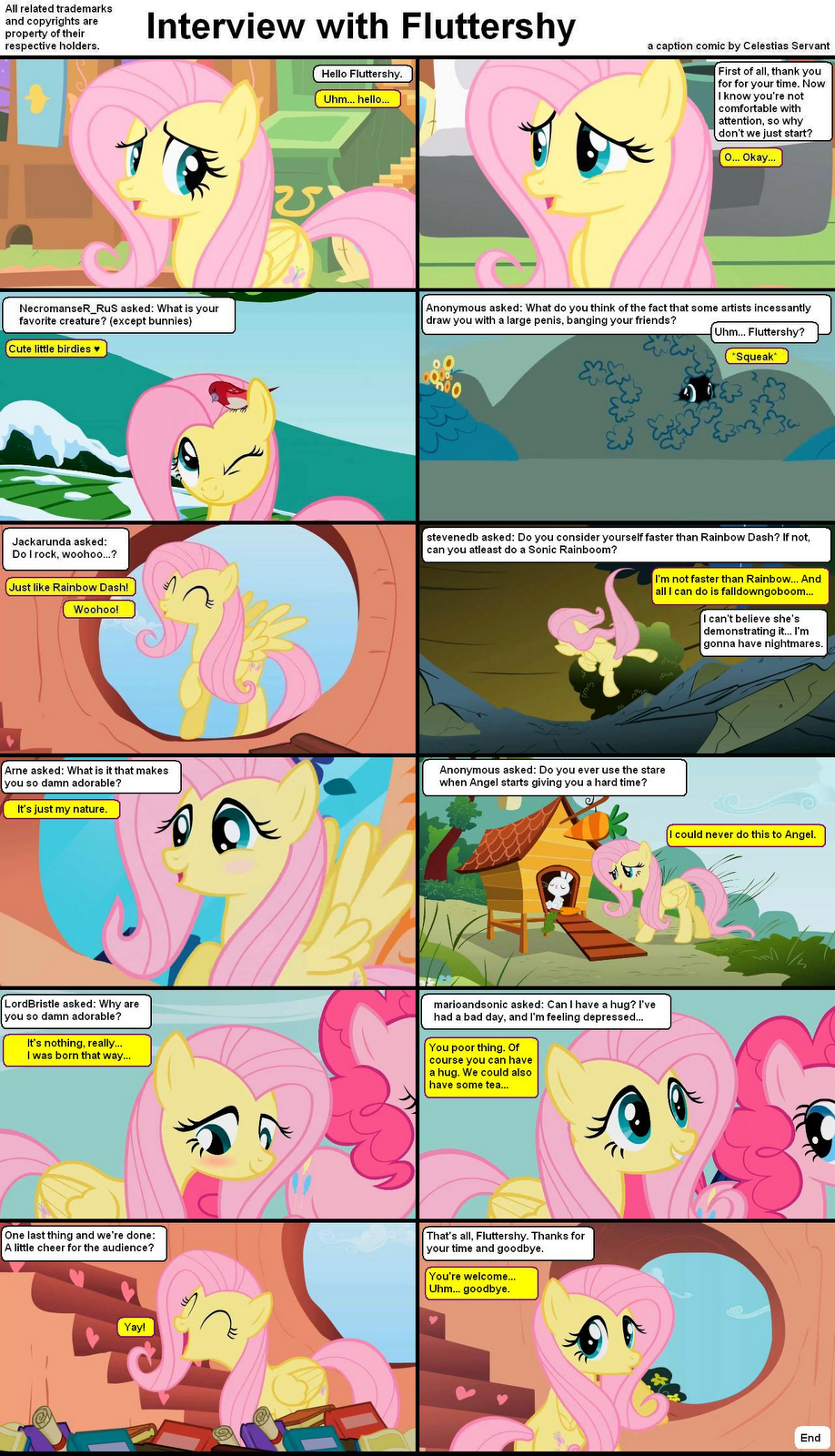 The sun mare's loyal servant: Interview with Fluttershy