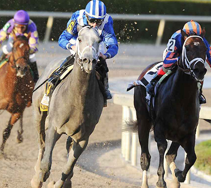 Midway Messenger: Shadwell Farm has two top 10 Derby prospects ...