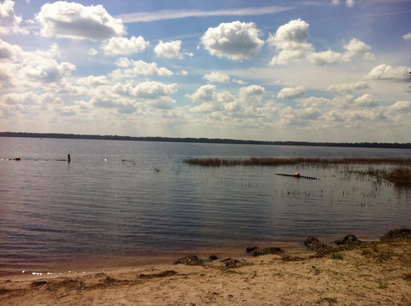 Our Fantastic Falcon Voyage: Ocean Pond Campground, Osceola National ...