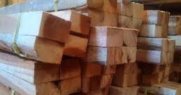 GELAM/DOLKEN murah: kayu proyek