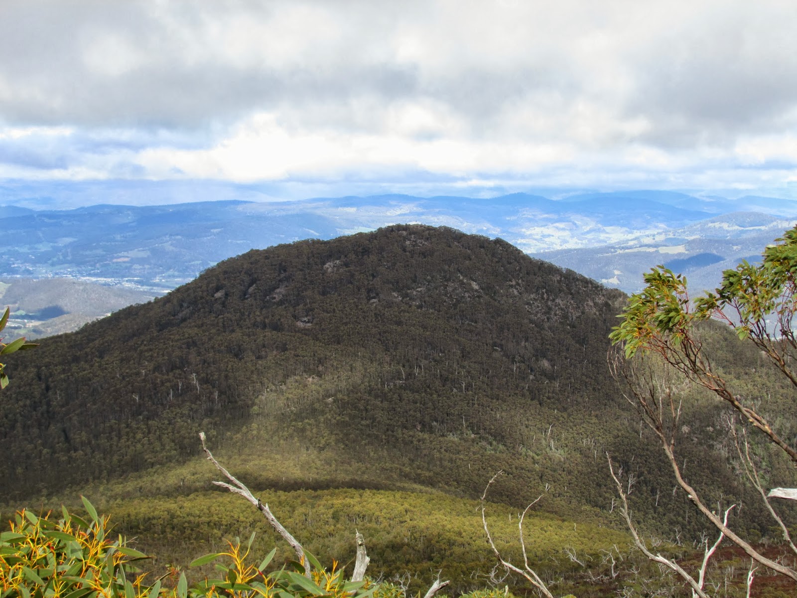 Mount Montagu | Hiking South East Tasmania