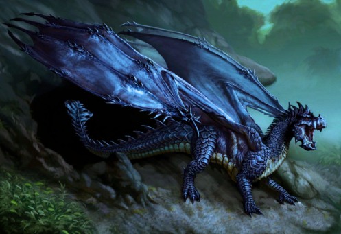 DRAGONOOLOGIA: Tipos de dragão