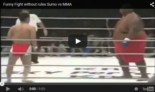Funny Fight without rules - Sumo vs MMA - Mixed Martial Arts