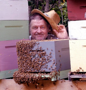 DC Honeybees: Small Cell Bees Available, FatBeeMan Stock