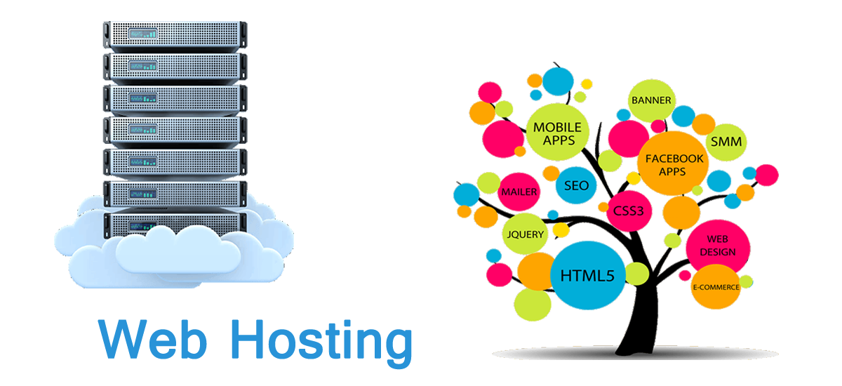 domain and hosting: Role of Domain & Hosting For Building Websites